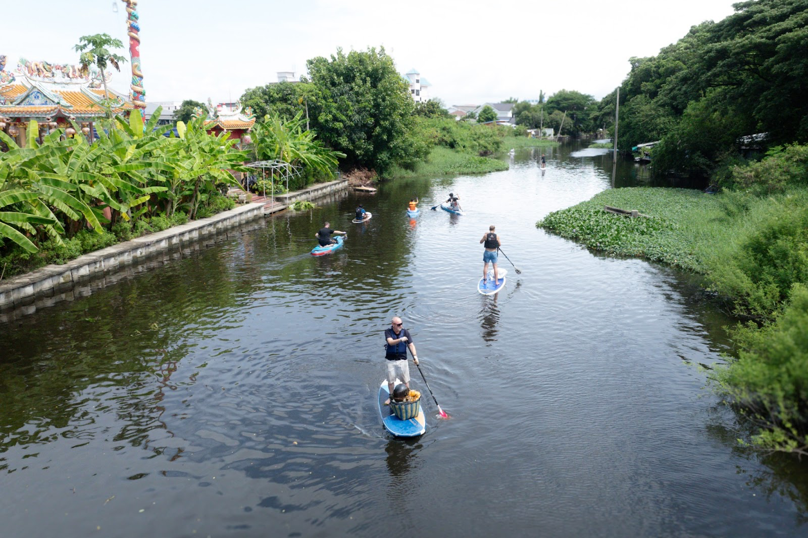 Seven Peaks Software joins World Clean Up Day 2025